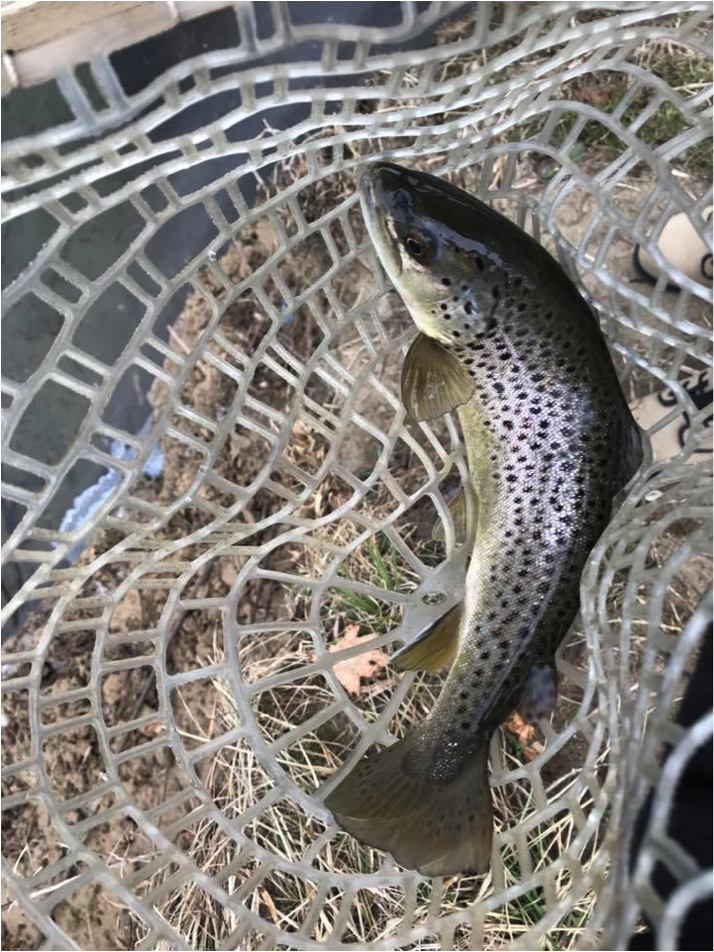 Fishing in Todd | Todd Community Preservation Organization