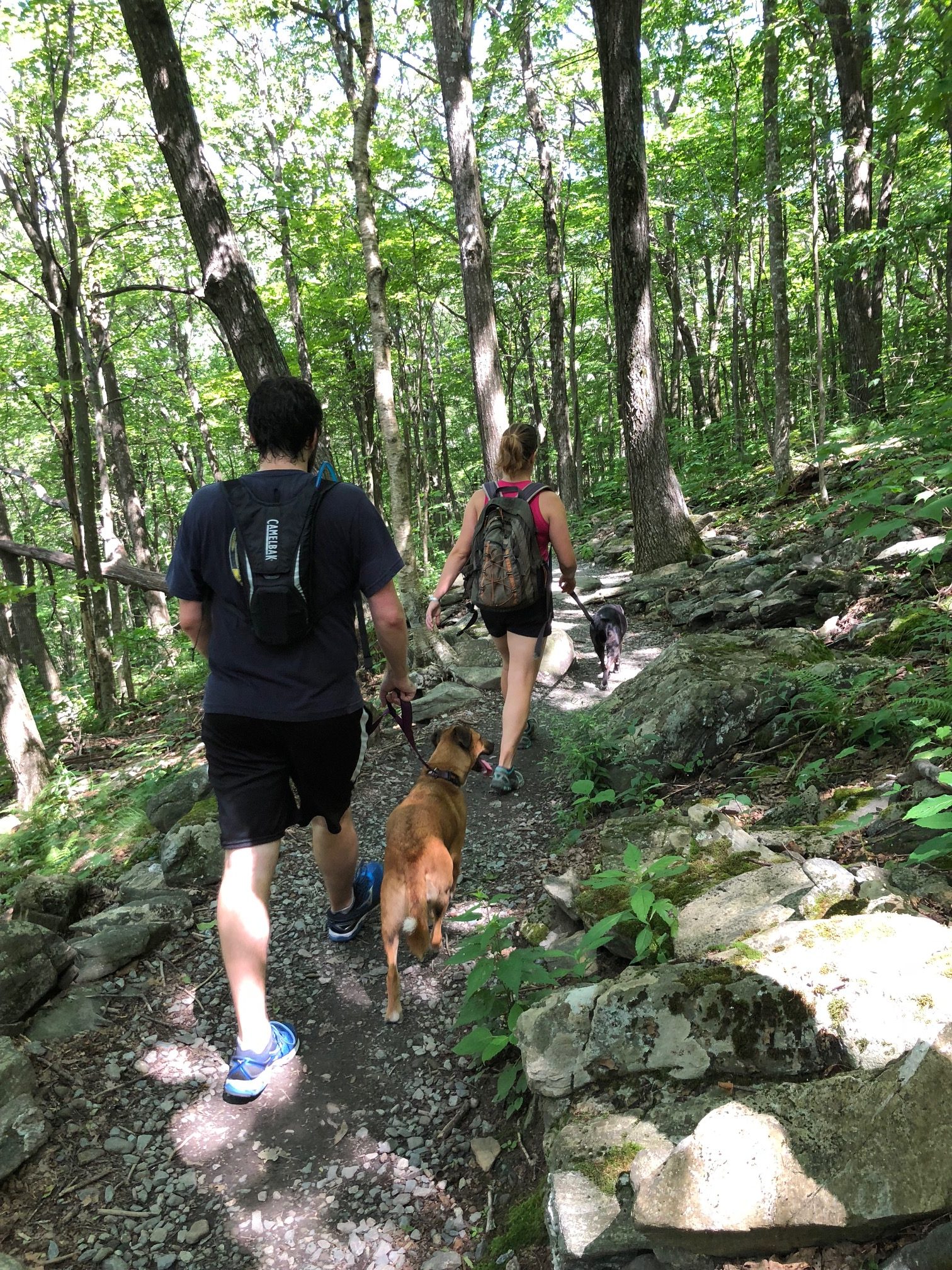 Outdoor Activities | Todd Community Preservation Organization